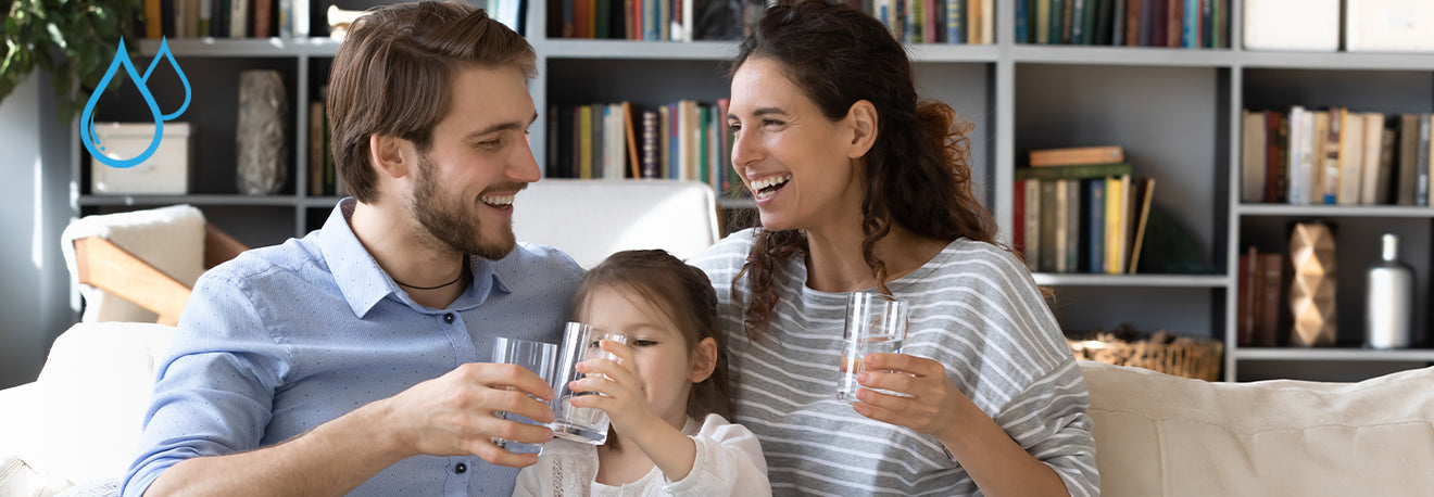 Zero Filter Online®: Peak Purity, Perfected – Zero Filter Store